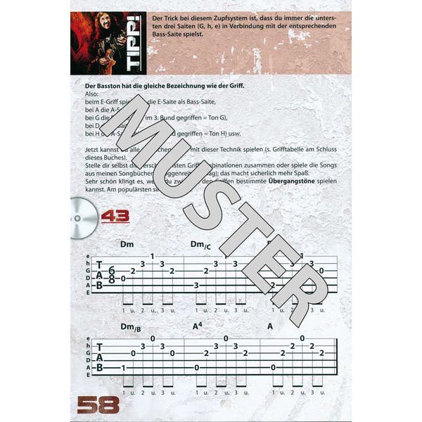 Voggenreiter Peter Bursch's Rock Gitarre – Thomann United States