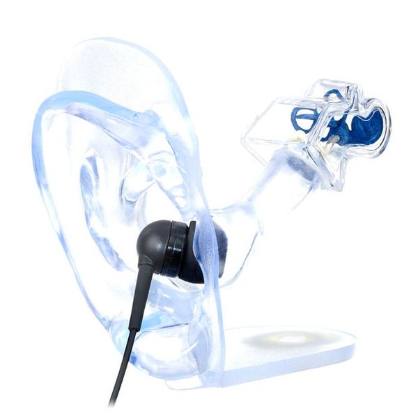 Sennheiser IE 4 Bundle – Thomann United States