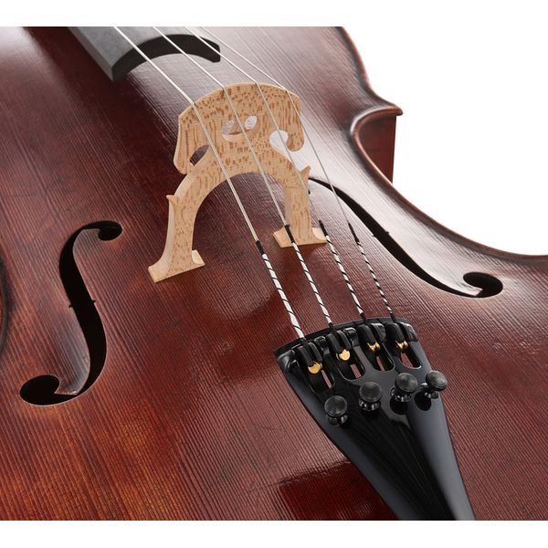 Karl Höfner H4/6-DAV-C Davidov Cello 4/4 – Thomann United Arab Emirates