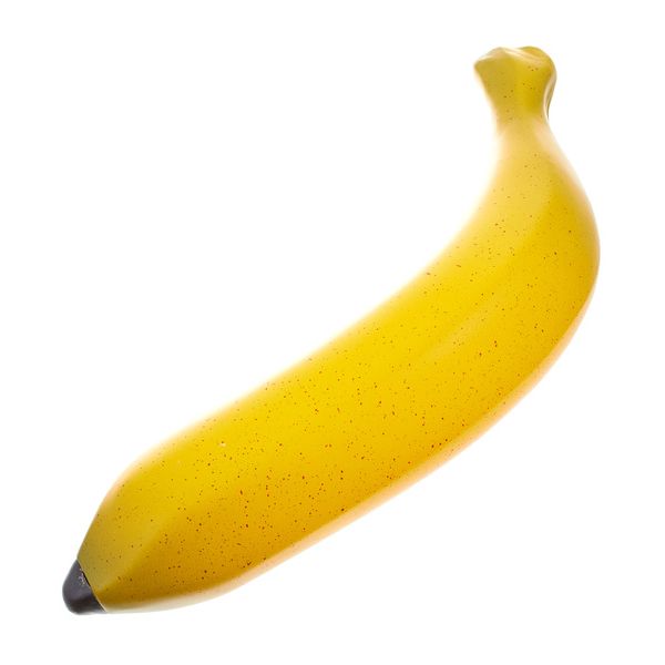 Remo Fruit Shaker Set – Thomann United States