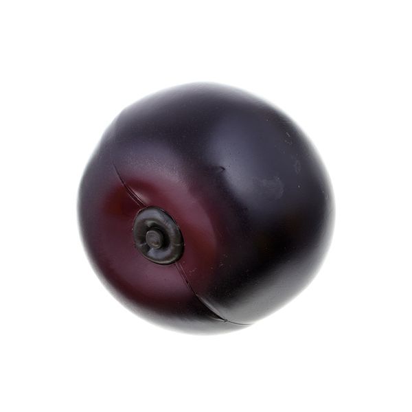 Remo Fruit Shaker Set – Thomann United States