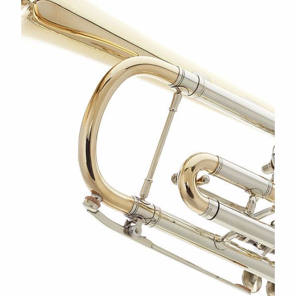 Peter Oberrauch Venezia Trumpet Bb 11,05 Raw – Thomann United States