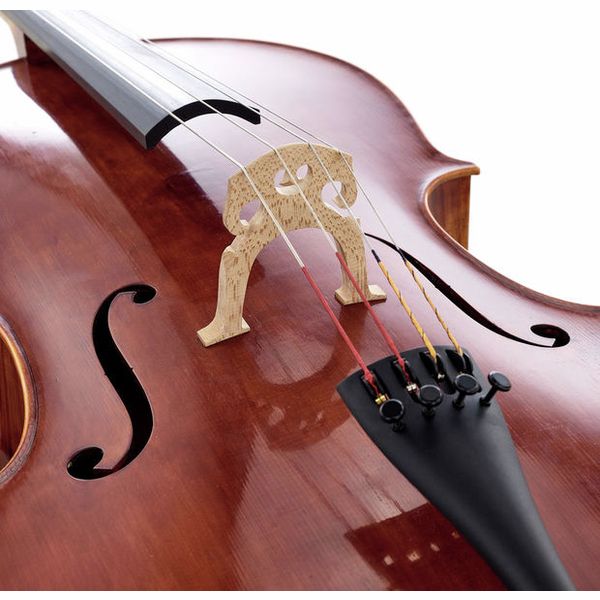Edgar Russ Linea Macchi Cello Montagnana – Thomann United States