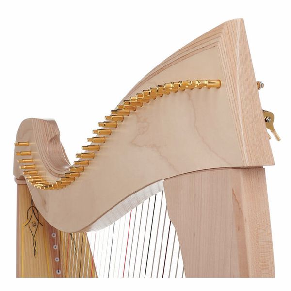Salvi Una Deluxe Lever Harp Natural – Thomann United States