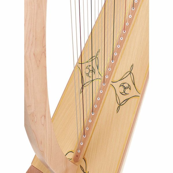 Salvi Una Deluxe Lever Harp Natural – Thomann United States