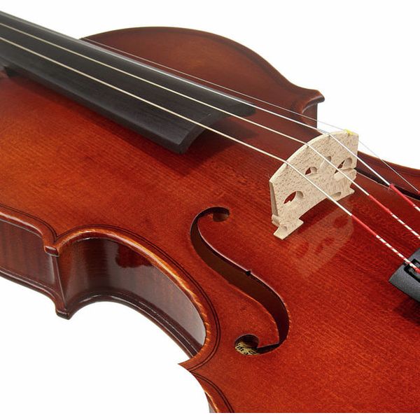 Franz Sandner 601 Violin Set 4/4 – Musikhaus Thomann