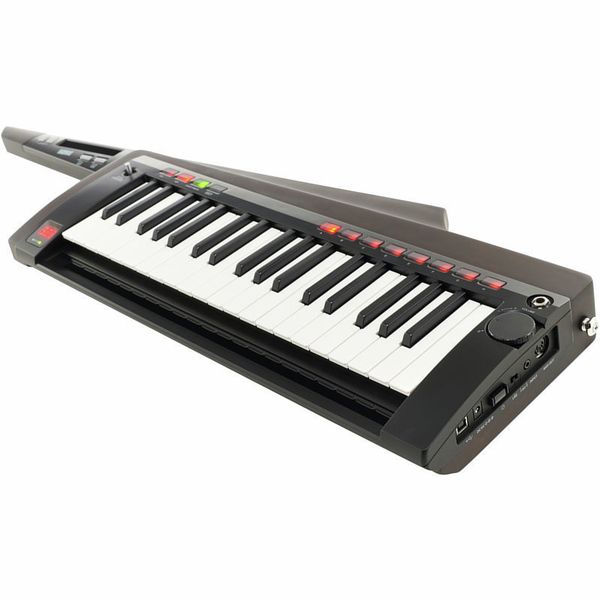 Korg RK-100S 2 Black – Thomann United States