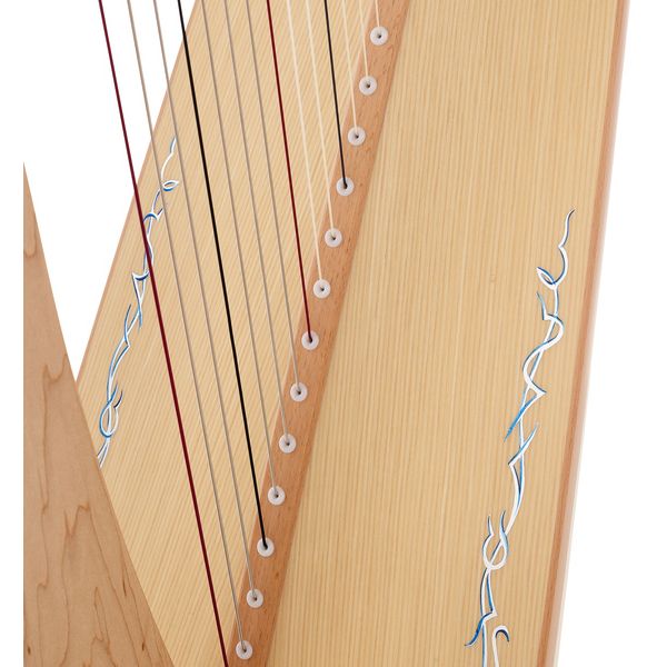 Salvi SALDON-DXAKP Donegal Natural – Thomann United States