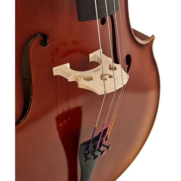 Gewa Allegro VC1 Cello 4/4 – Thomann United States