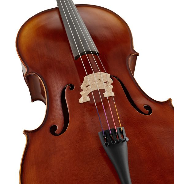 Gewa Allegro VC1 Cello 4/4 – Thomann United States