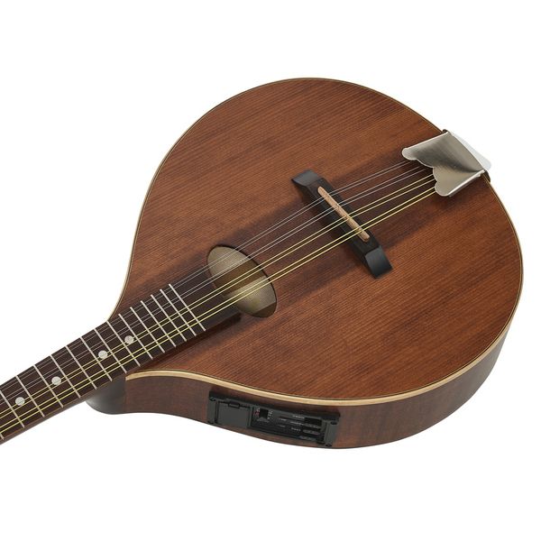 Thomann Portuguese Mandolin 1A-P – Thomann United States