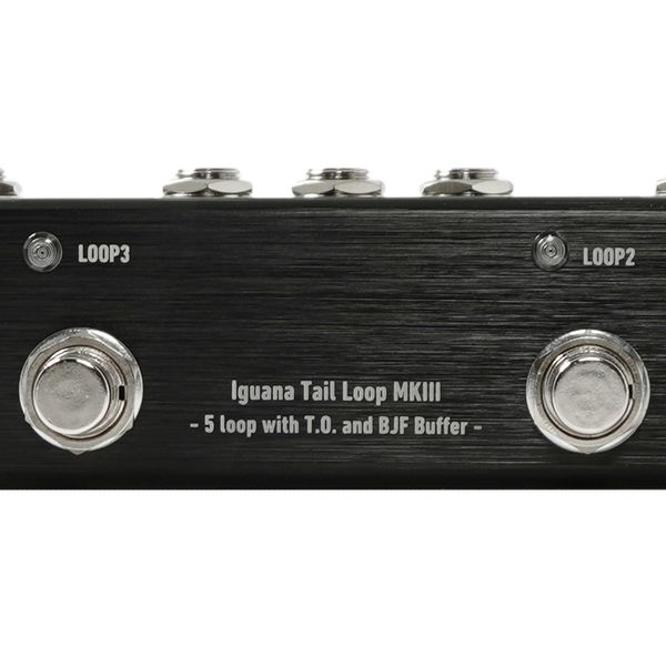 One Control Iguana Tail Loop MKIII - 5 – Thomann United States
