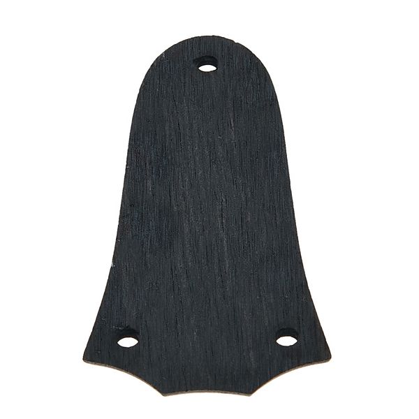 Taylor Truss Rod Cover Ebony – Thomann United States
