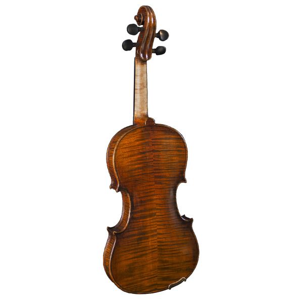 Hidersine Venezia Violin Set w. Wittner – Thomann United States
