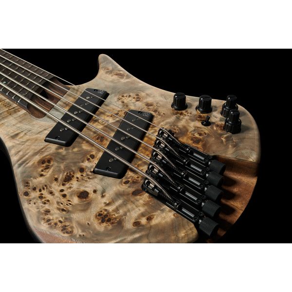 Ibanez EHB1505MS-BIF – Thomann United States