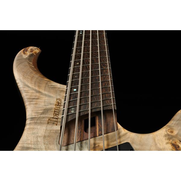 Ibanez EHB1505MS-BIF – Thomann United States