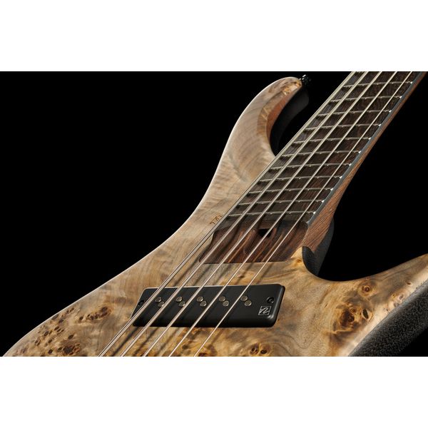 Ibanez EHB1505MS-BIF – Thomann United States