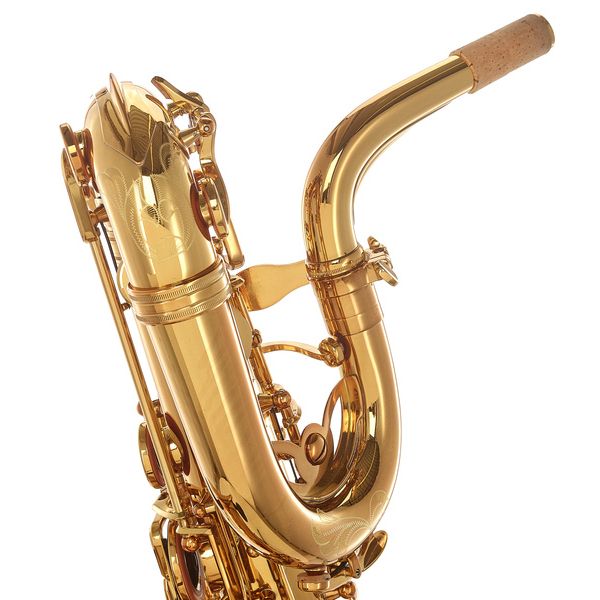 Forestone SX Gold Lacquered Baritone Sax – Thomann United States