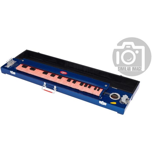 Bulbul Tarang Musical Instrument