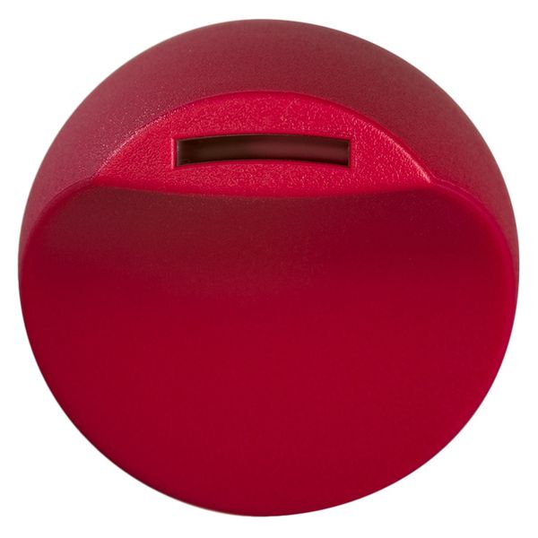 Mollenhauer 17512 Fipple Tere Soprano P – Thomann United States