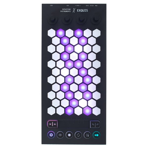 Intuitive Instruments Exquis – Thomann United States