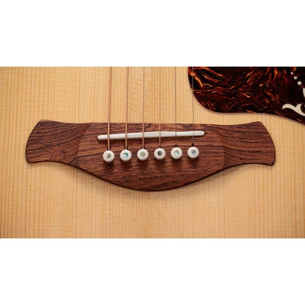 Taylor Gold Label 914e – Thomann België