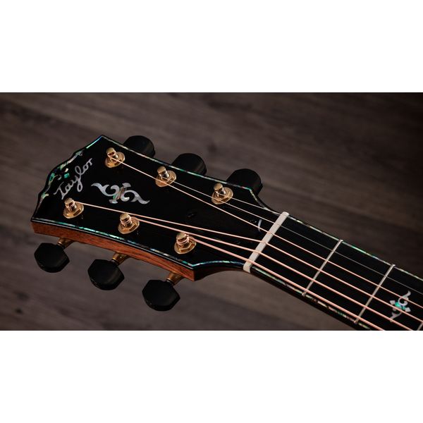 Taylor Gold Label 917e – Thomann Danmark