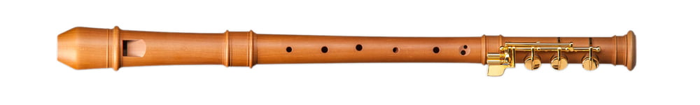 Dem Repertoire angepasste Instrumente – Musikhaus Thomann