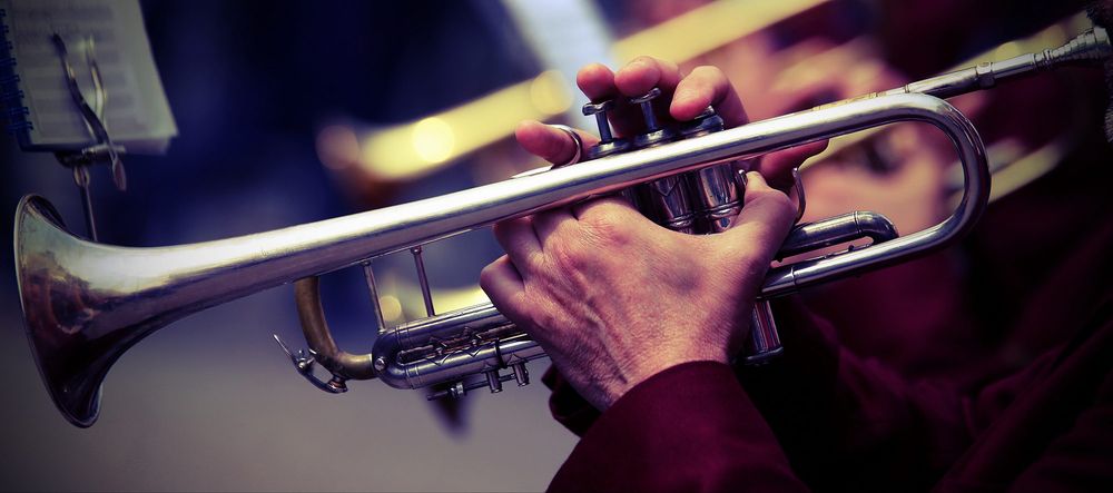 Einsteiger Trompeten – Musikhaus Thomann