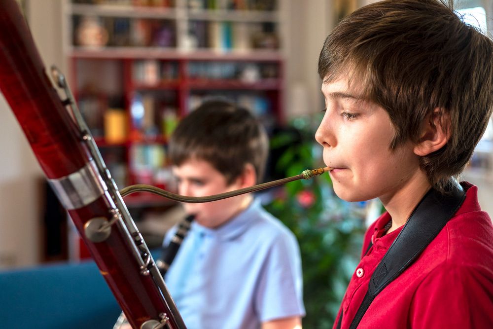 Generating sound on the bassoon: The double reed – Thomann UK