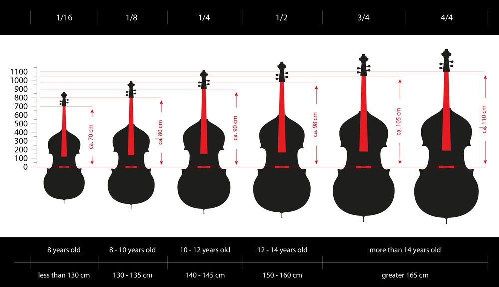 Shape and Size – Thomann United States