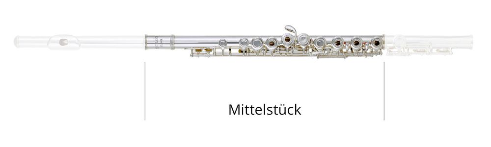 Thomann Online Guides Anatomy of the Flute Flutes – Thomann United States