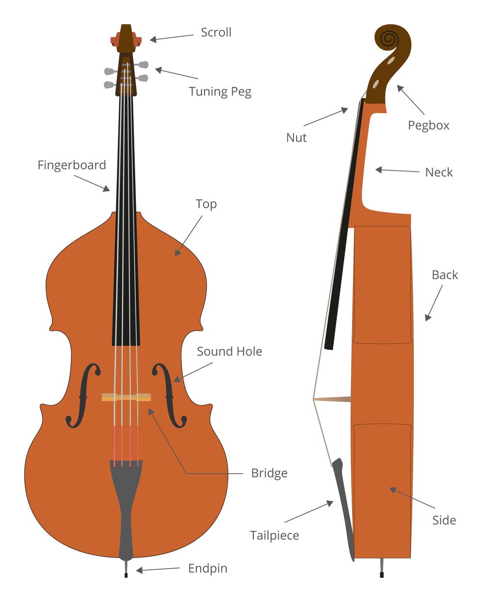 Shape and Size – Thomann UK