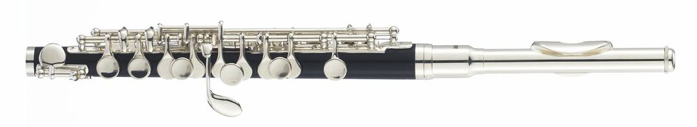 The Family of Flutes – Thomann UK
