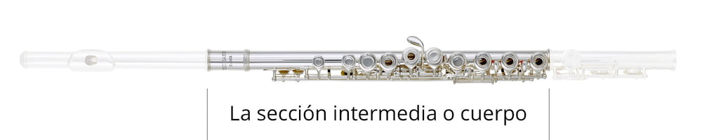 Anatomía de la flauta travesera – Thomann España
