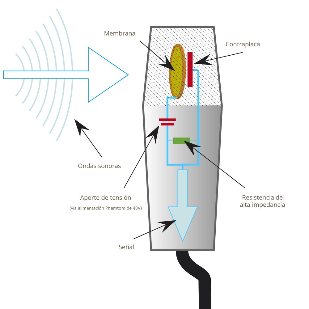 Diseños de micrófono – Thomann España