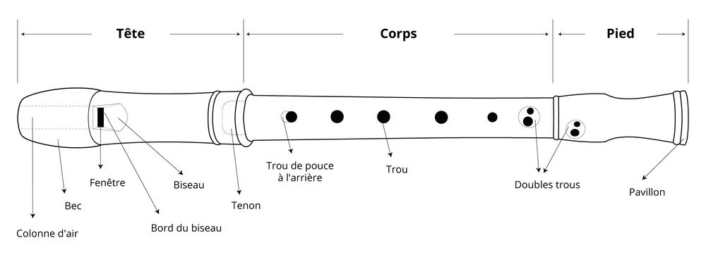 Why the Recorder? – Thomann France
