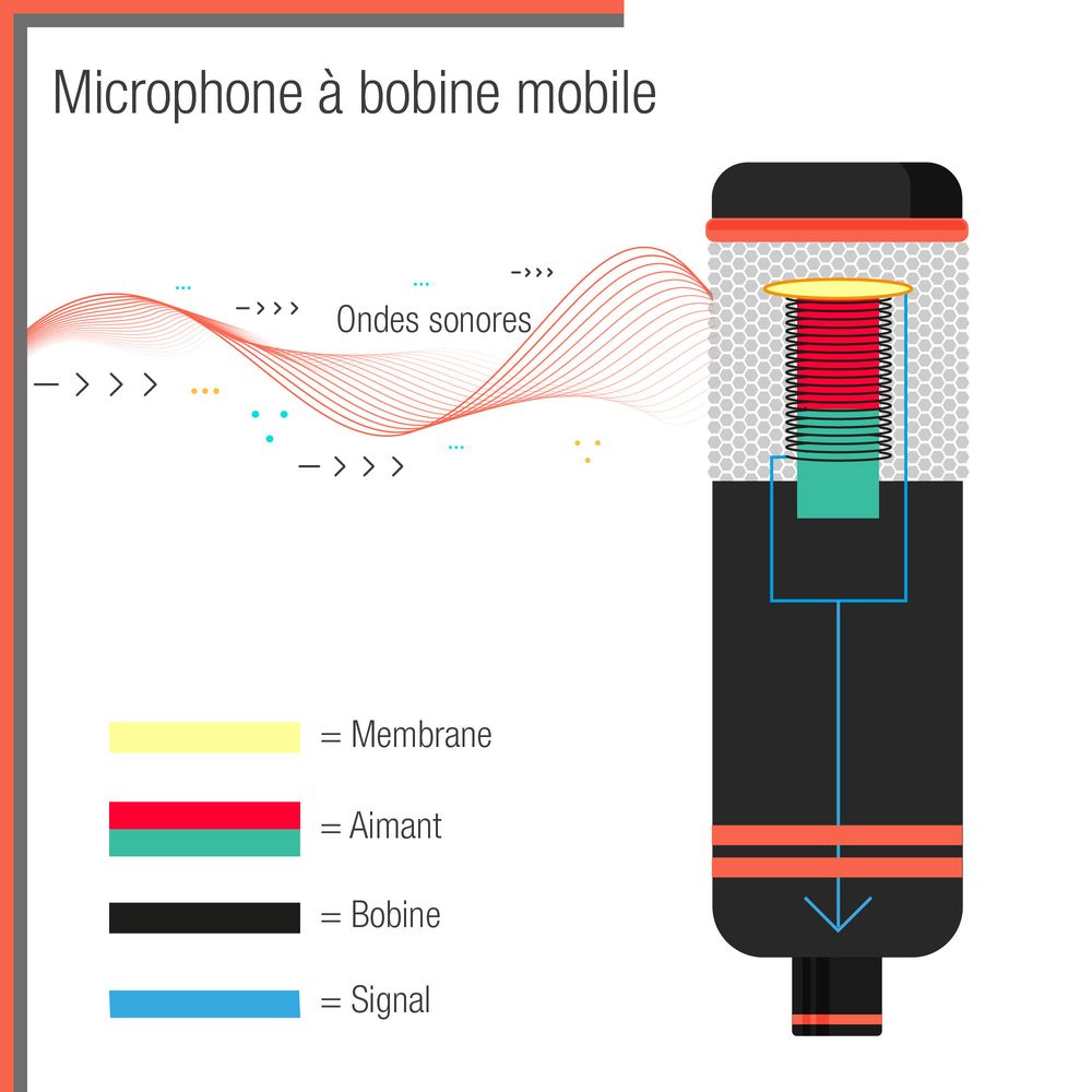 What is a dynamic microphone? – Thomann France
