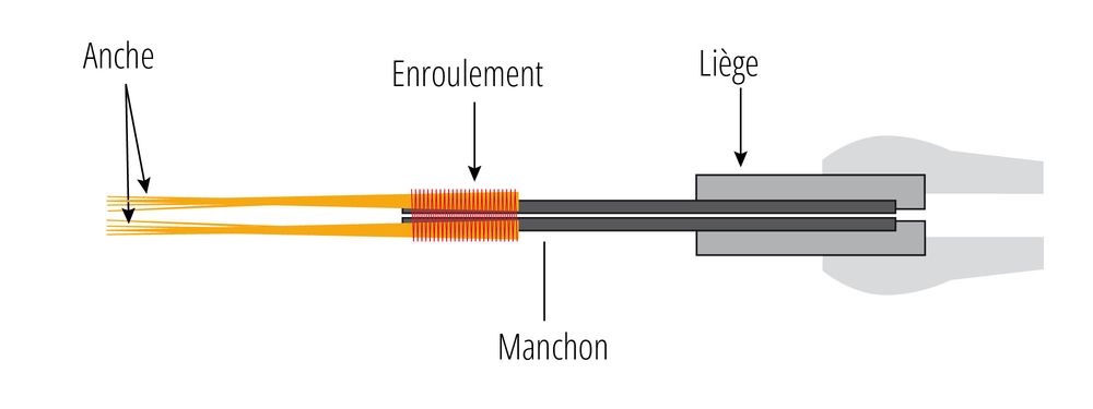 Généralités – Thomann France