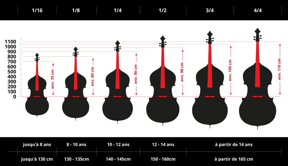 Types de construction & tailles – Thomann France