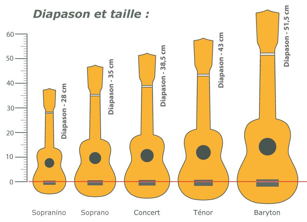 Le diapason et la taille correctes du ukulélé – Thomann France