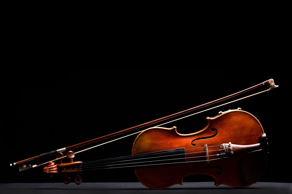 Lutherie, bois, vernis – Thomann France