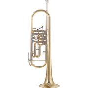 Rotary Valve Bb Trumpets – Thomann United States