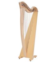 Folk Instruments – Thomann United States