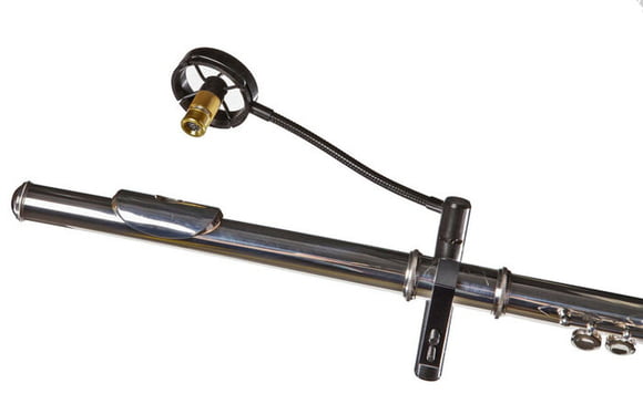 Wood wind instruments – United States