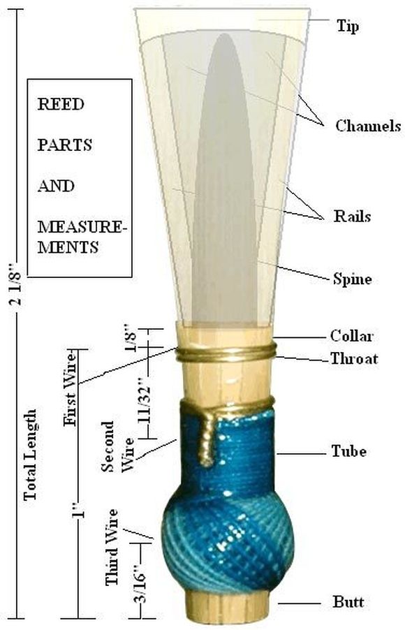 Thomann Online Guides Reeds Bassoons – Thomann United States