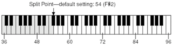 Auto Accompaniment – United States