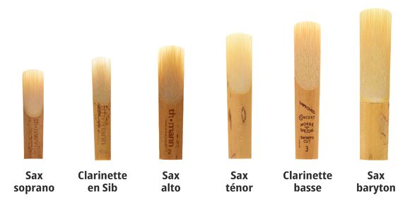 Inséparables et pourtant individuelles: anche & ligature – Thomann France