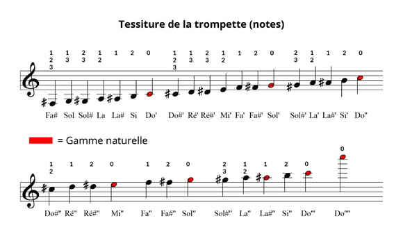 Thomann Guides en ligne Trompettes Fonction de la trompette – Thomann ...