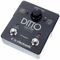 tc electronic Ditto X2 Looper – Musikhaus Thomann